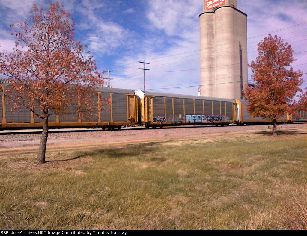 Untitled [www.rrpicturearchives.net]